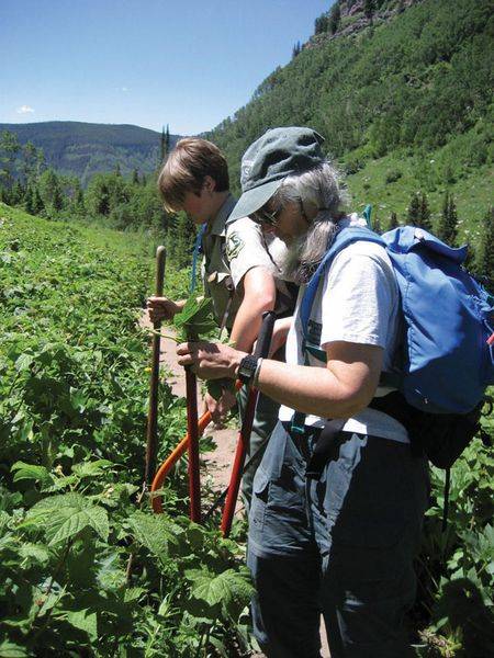 Wilderness ranger program seeking volunteers in Eagle, Summit Counties ...